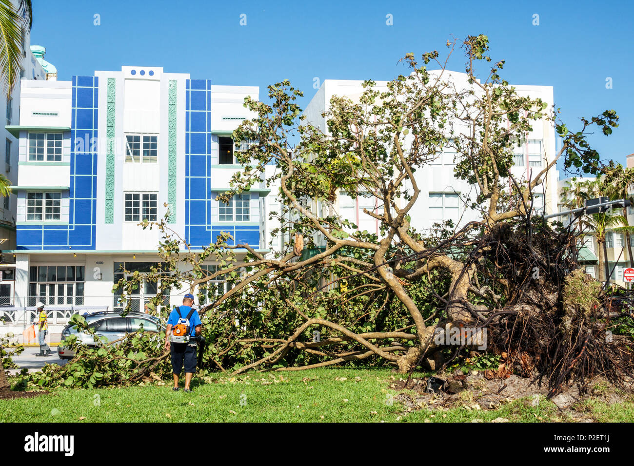 Miami Beach Florida,Lummus Park,Hurricane Irma,wind damage,fallen ...