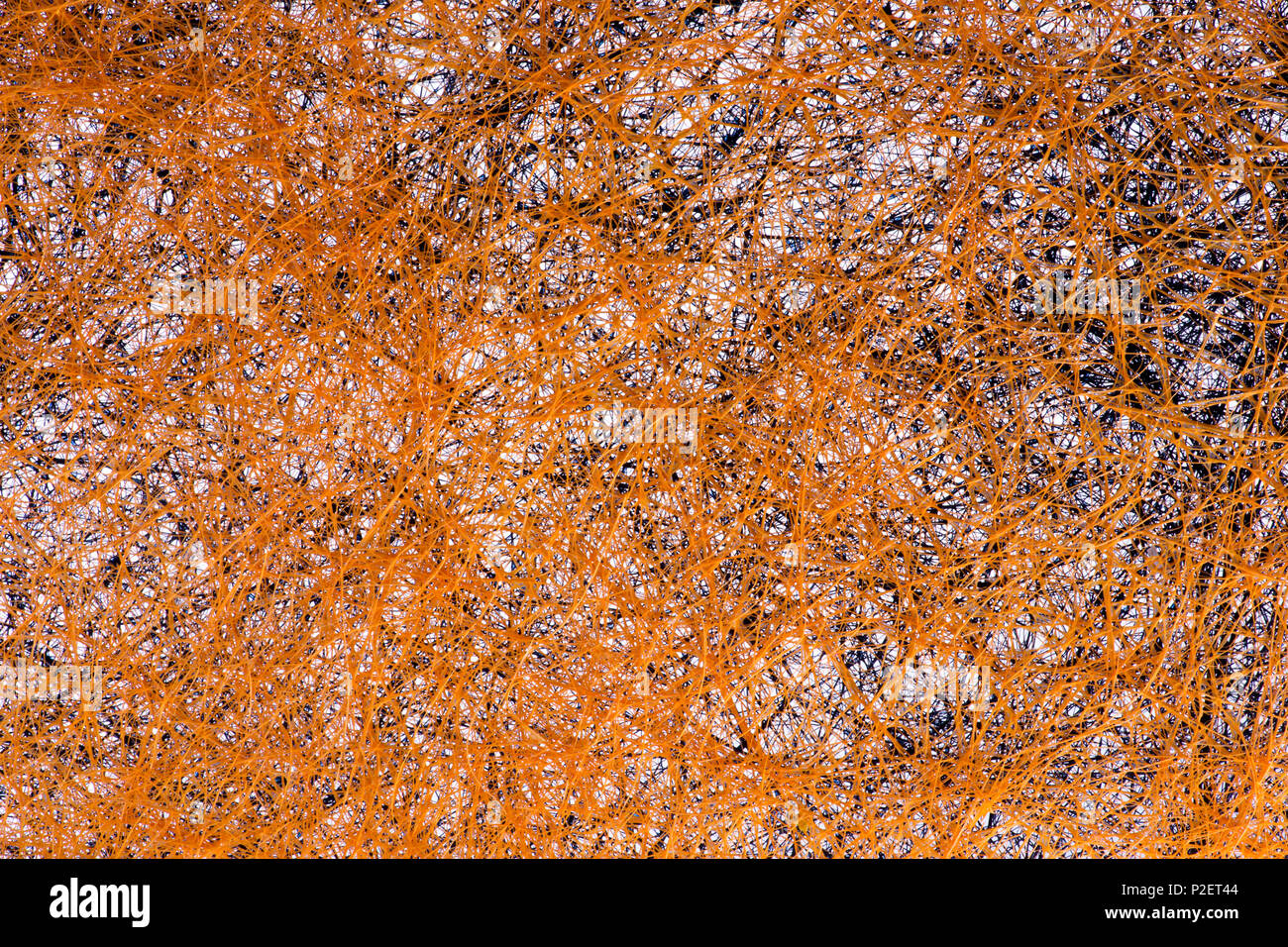 Intertwined string hi-res stock photography and images - Alamy