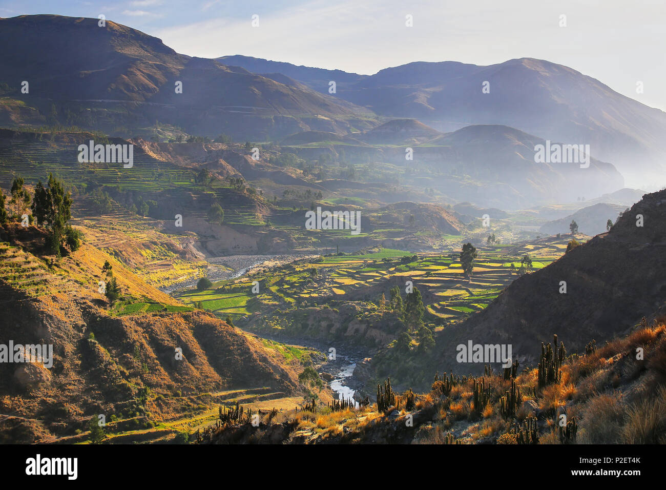 View of Colca Canyon with morning fog in Peru. It is one of the deepest ...