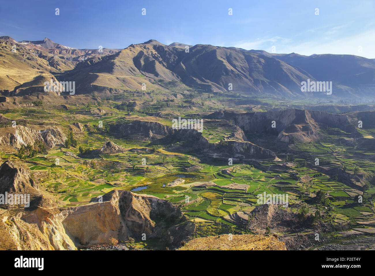 Stepped terraces in Colca Canyon in Peru. It is one of the deepest ...