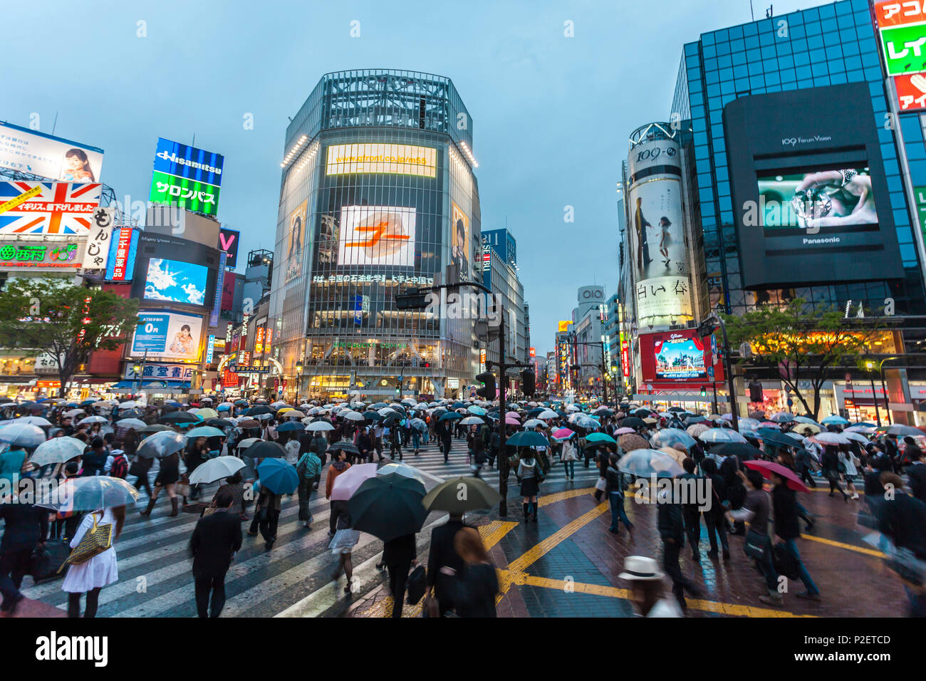 Famous pedestrian zebra crossing in Shibuya during rain, Tokyo, Japan ...