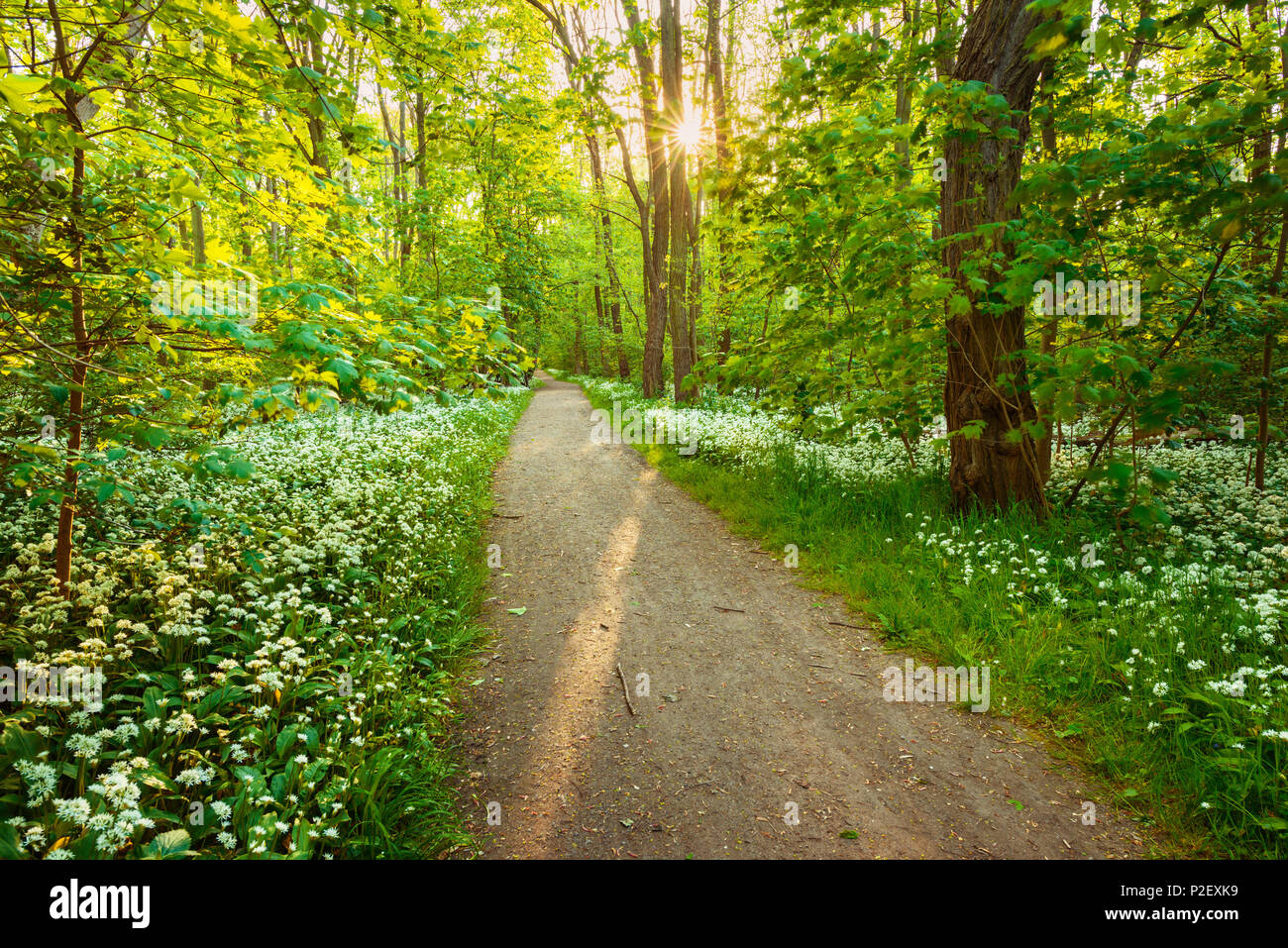 Wildflower park hi-res stock photography and images - Alamy