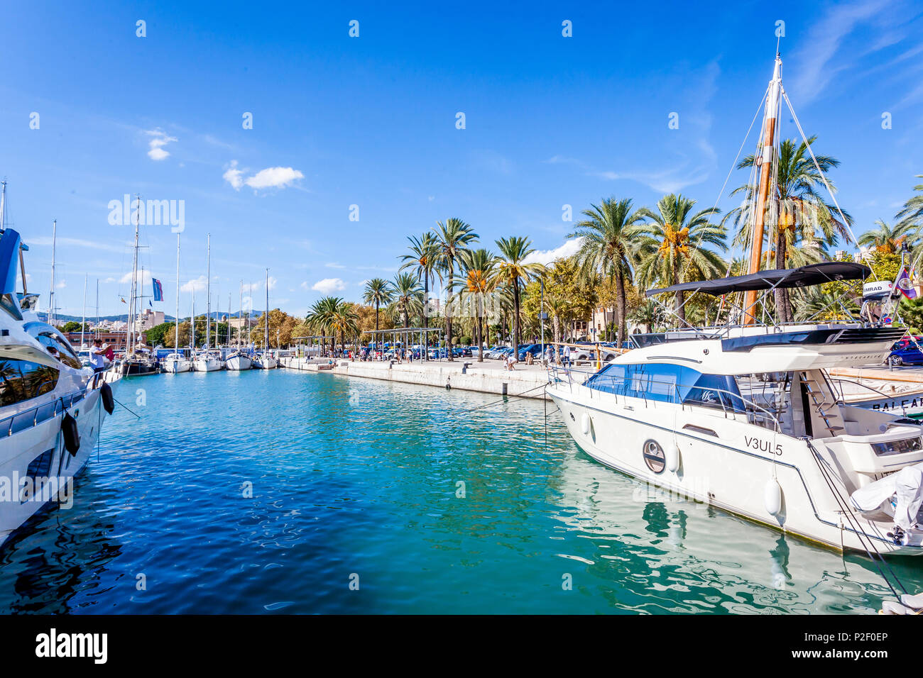 Luxury yachts at the port of Mallorca. Puerto de Palma, Port of Palma ...