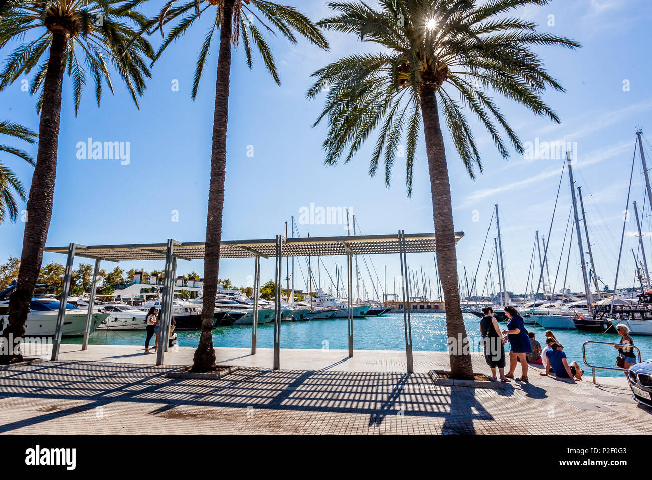 Luxury yachts at the port of Mallorca. Puerto de Palma, Port of Palma ...