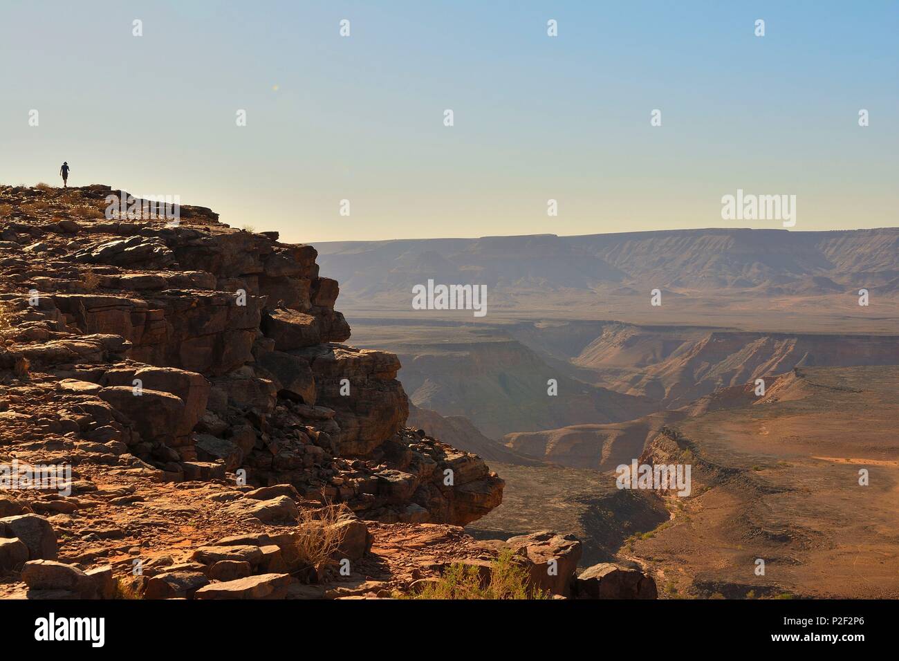 Namibia fish hi-res stock photography and images - Alamy