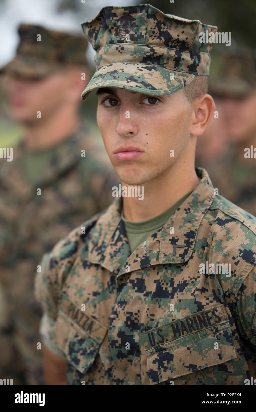 Woburn mass hi-res stock photography and images - Alamy