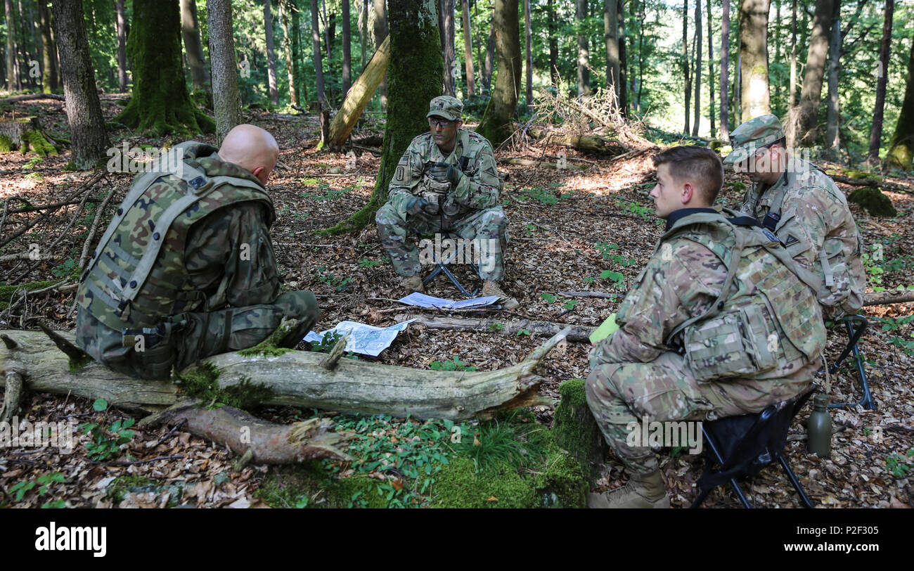 U.S. Army Sfc. David Thetford, center, of the Timberwolf Team, Joint ...