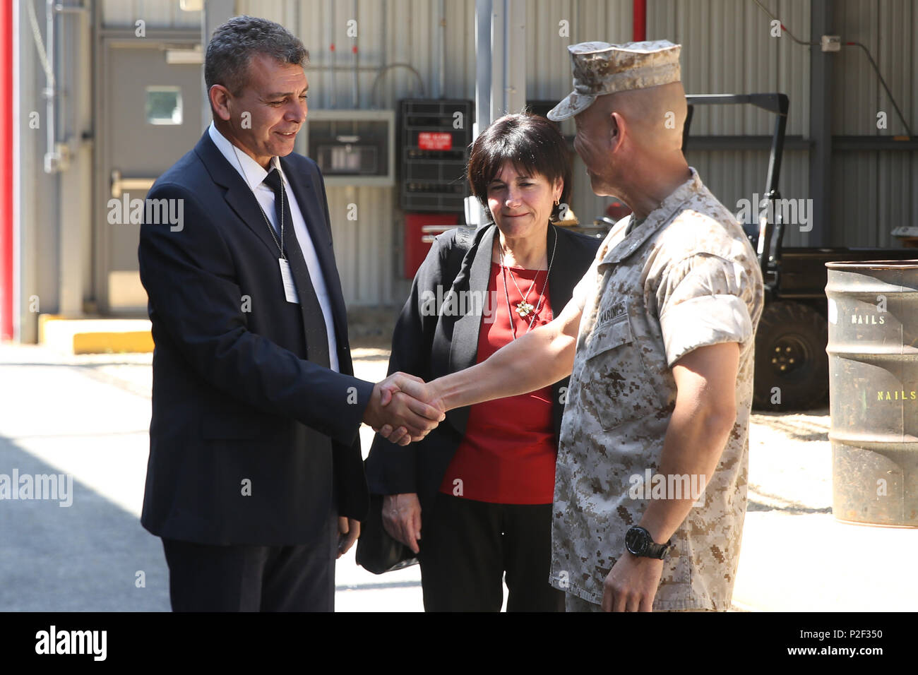 Marine Col. Michael Carter, right, commanding officer of Chemical ...