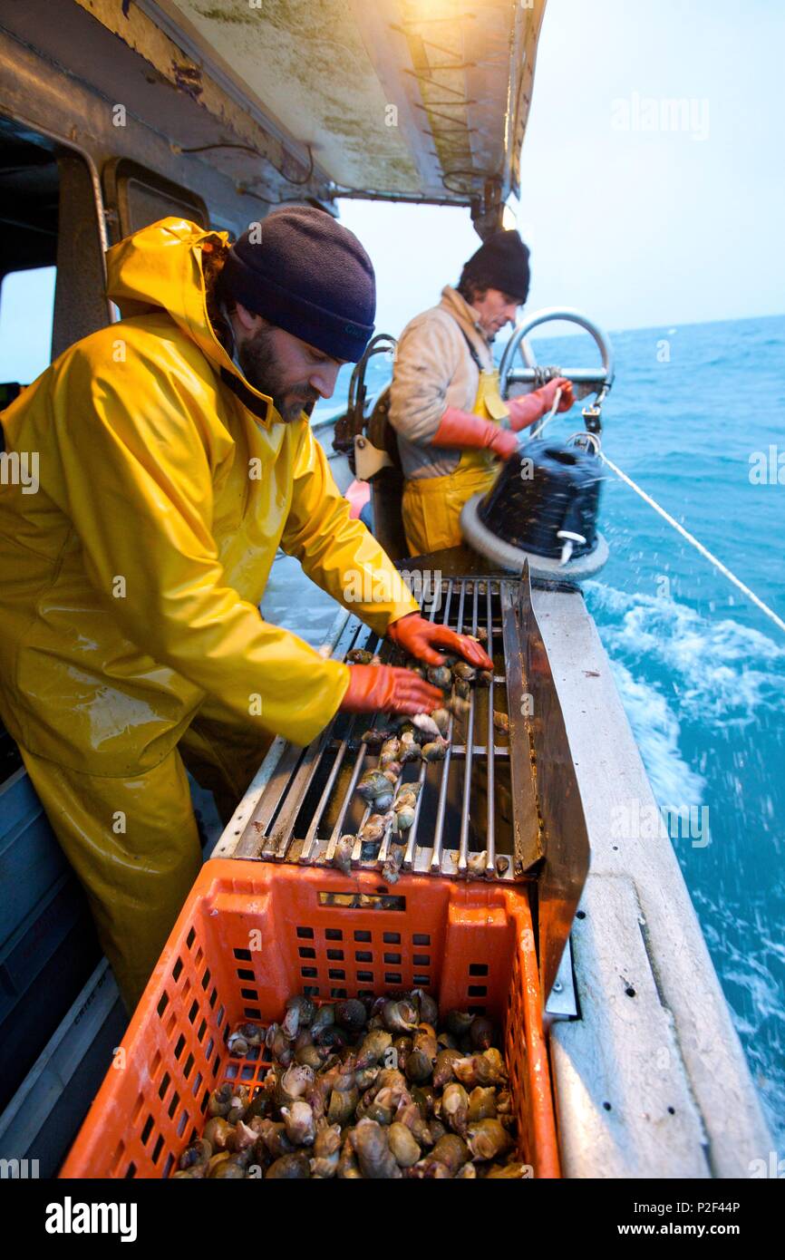 Fishing Boat Whelks High Resolution Stock Photography and Images - Alamy