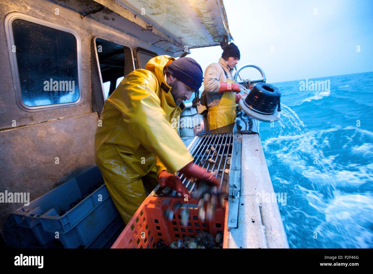 France, Manche, Cotentin, Granville, bulwark fishing on the M Tethys ...