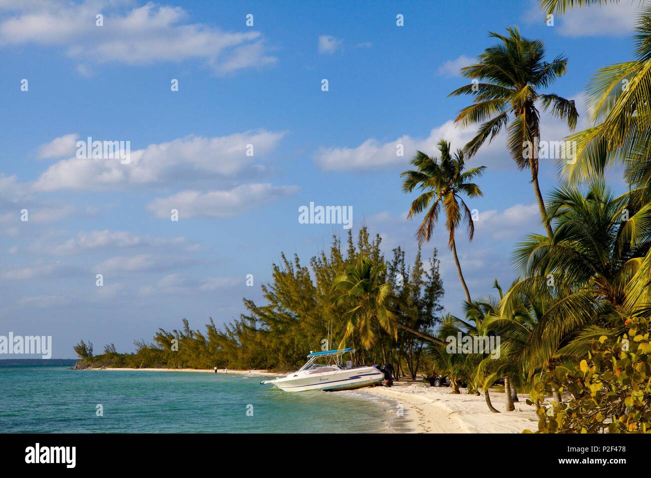 Bahamas, Andros Island, South Andros, Tiamo Resort Hotel, beach Stock ...