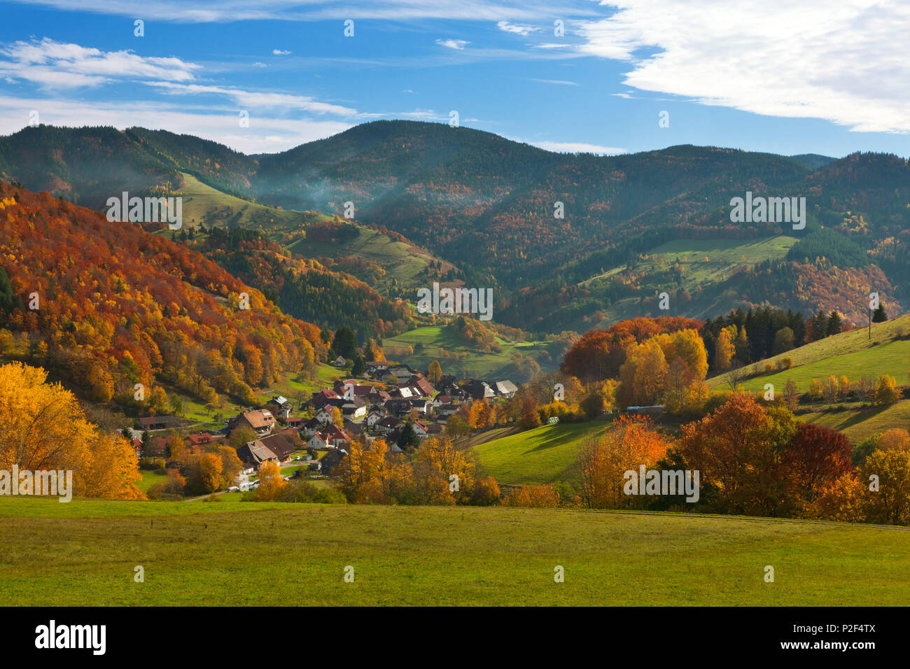 Landscape near Schoenau, Black Forest, Baden-Wuerttemberg, Germany ...