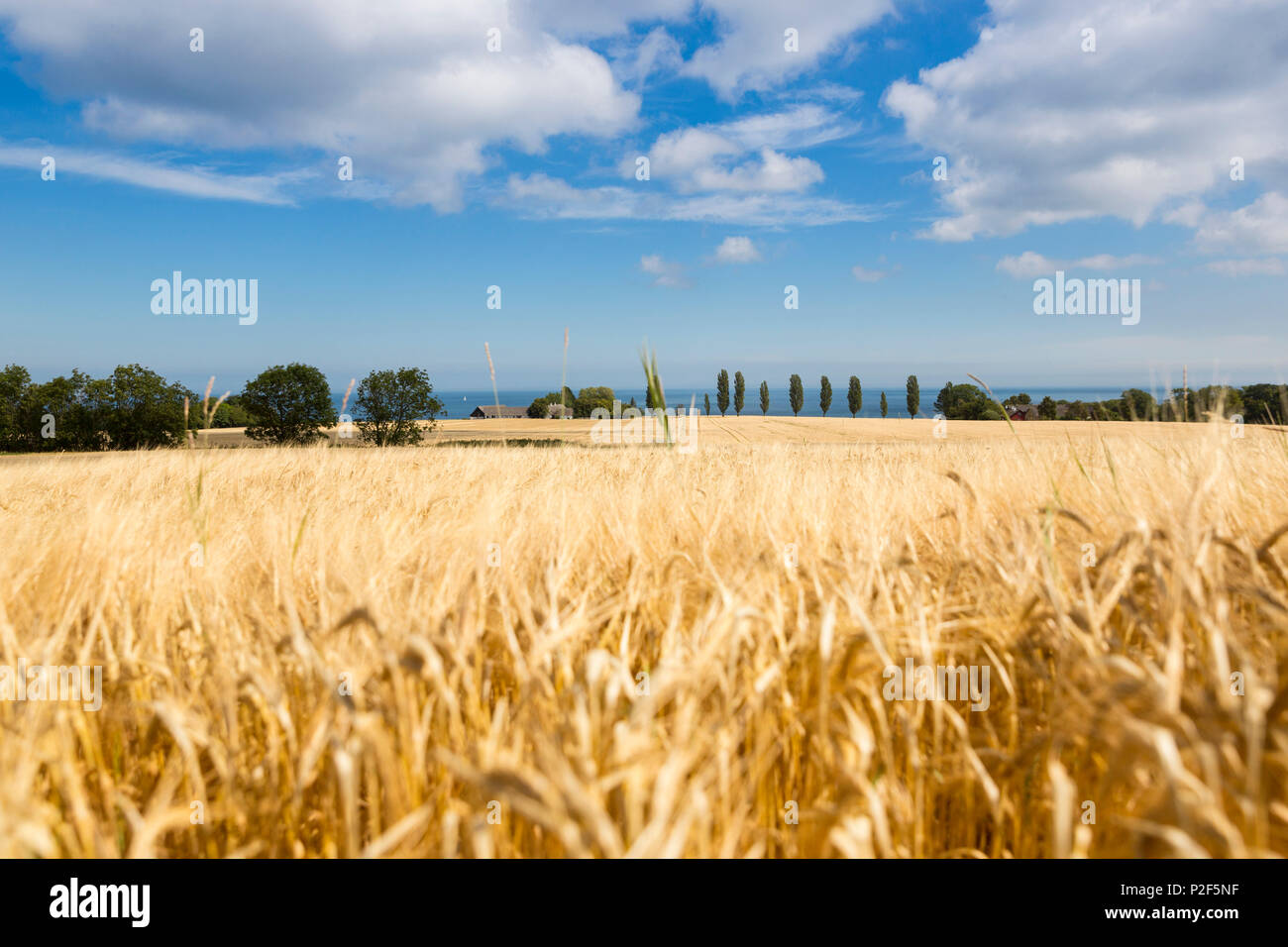 Danmark agriculture hi-res stock photography and images - Alamy