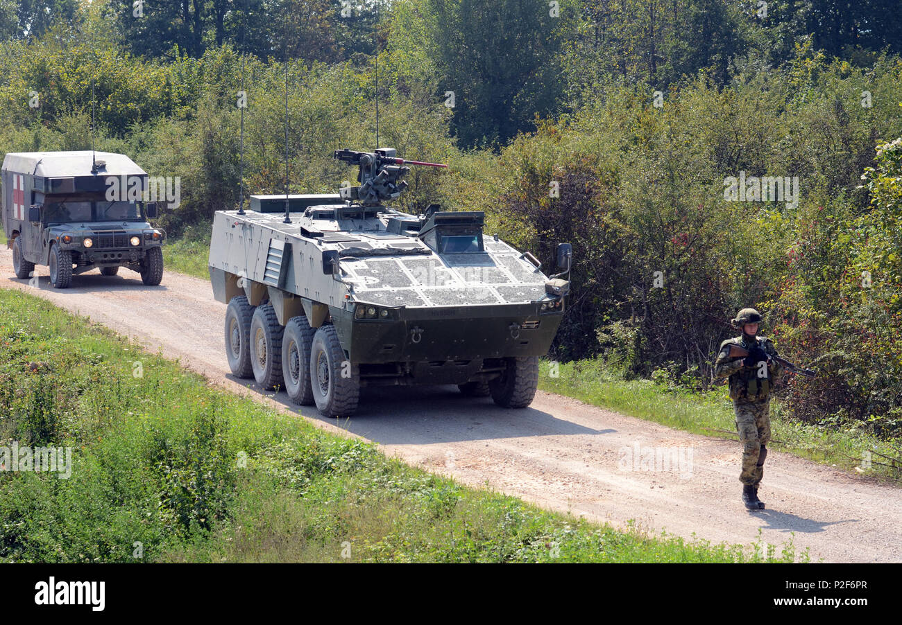 A soldier from the Croatian Armed Forces mobile infantry ground guides ...