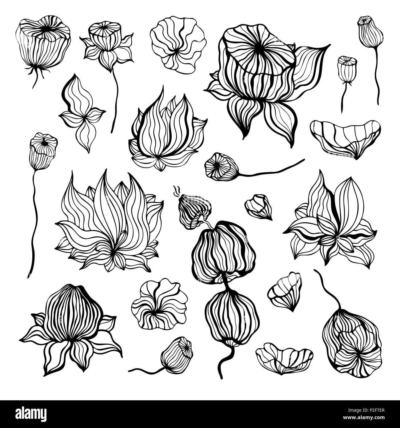 Abstract Flower. Vector Hand Drawn illustration, isolated Stock Vector ...