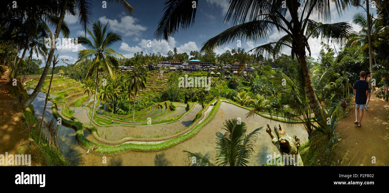 Rice terraces hi-res stock photography and images - Alamy