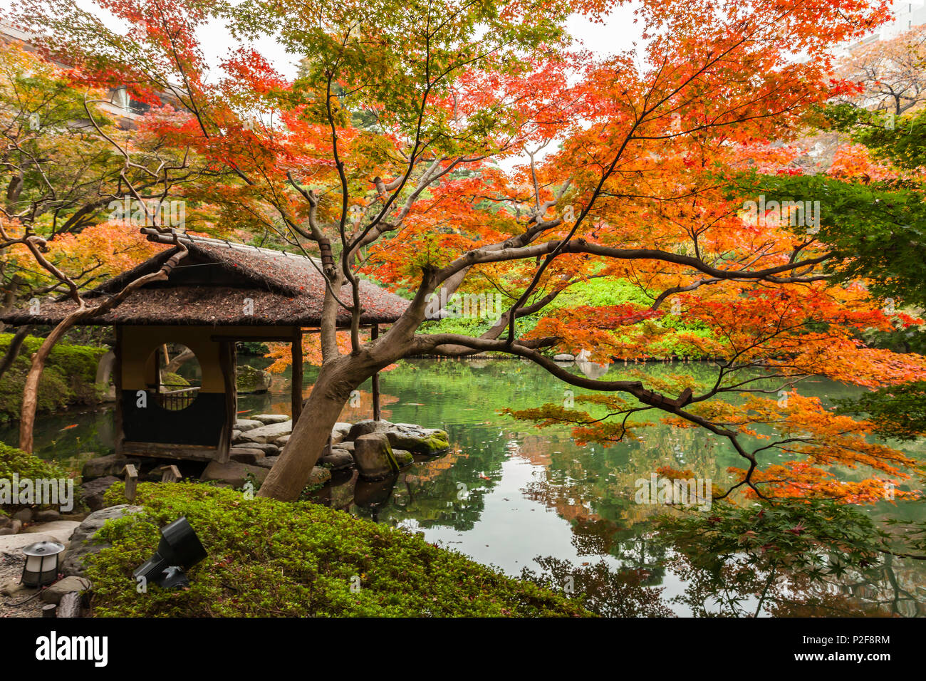 Japan happo en hi-res stock photography and images - Alamy