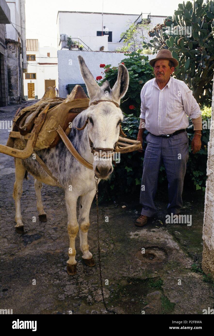 Arafo hi-res stock photography and images - Alamy