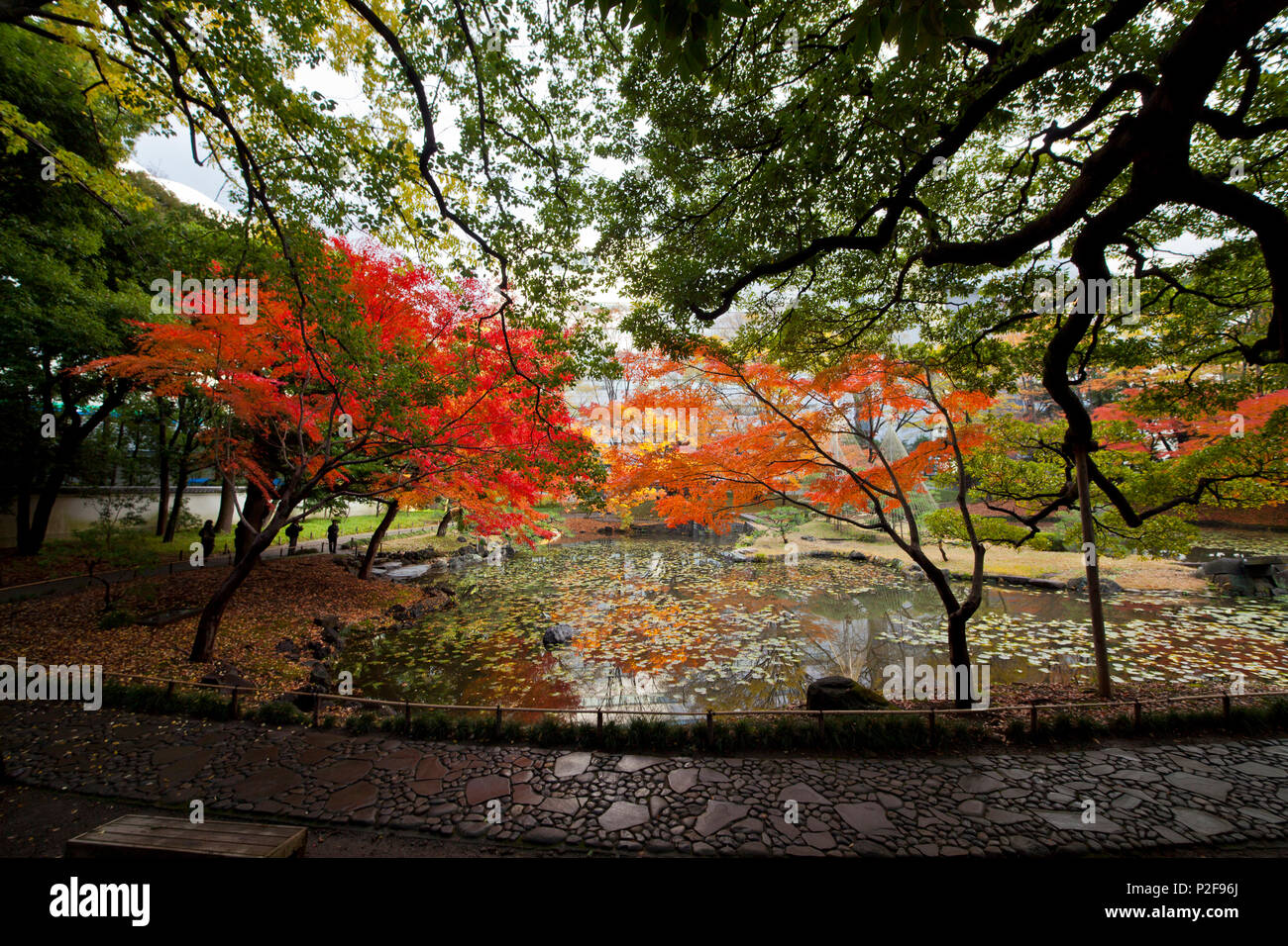 Bunkyo ku hi-res stock photography and images - Alamy