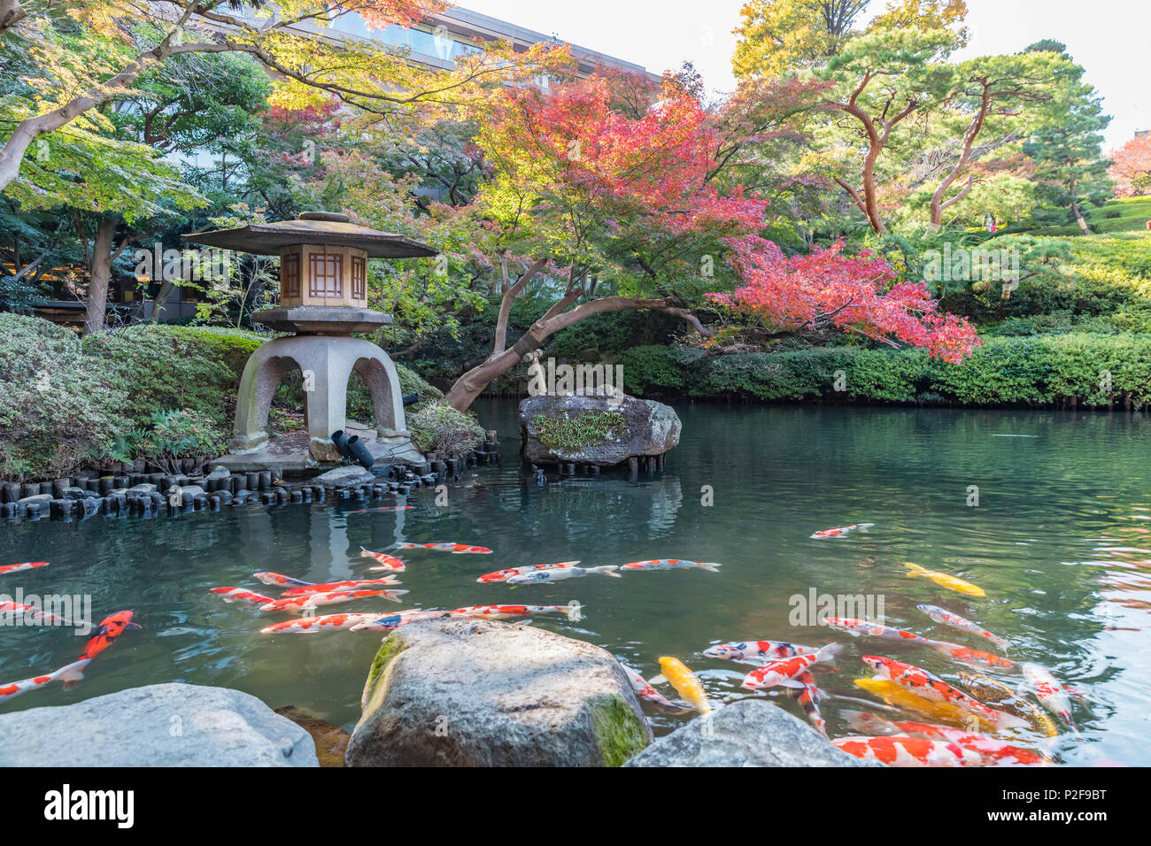 Tokyo happo en hi-res stock photography and images - Alamy