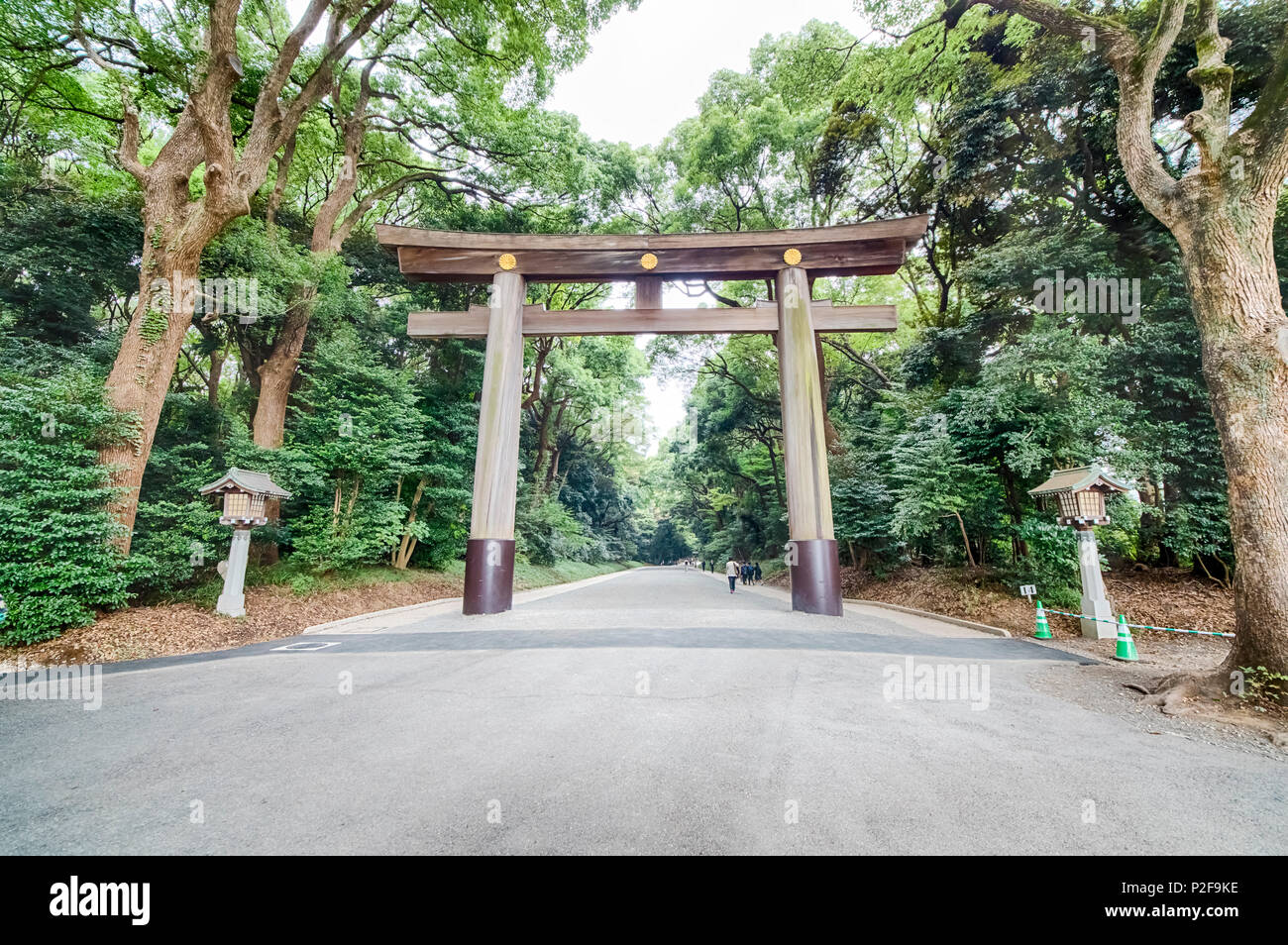 Tokyo vegetation hi-res stock photography and images - Alamy