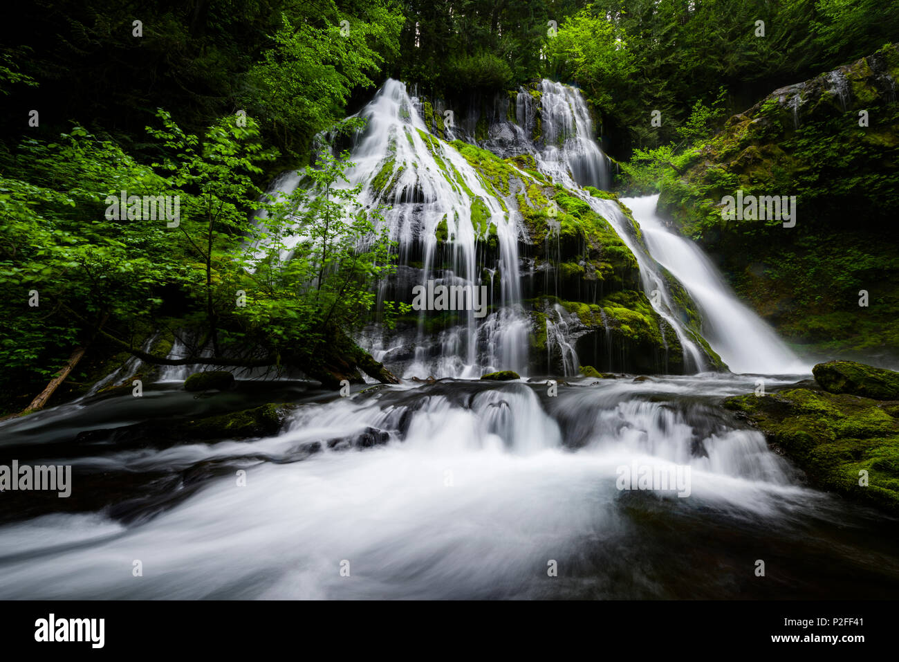 Panther Falls in souther Washington. The lush greenery and waterfalls ...