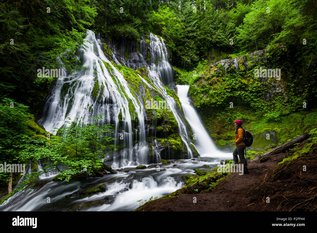 Panther Falls in souther Washington. The lush greenery and waterfalls ...