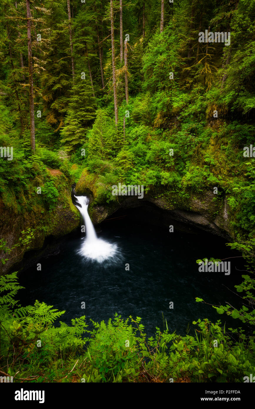 Best hikes in the columbia gorge hi-res stock photography and images ...