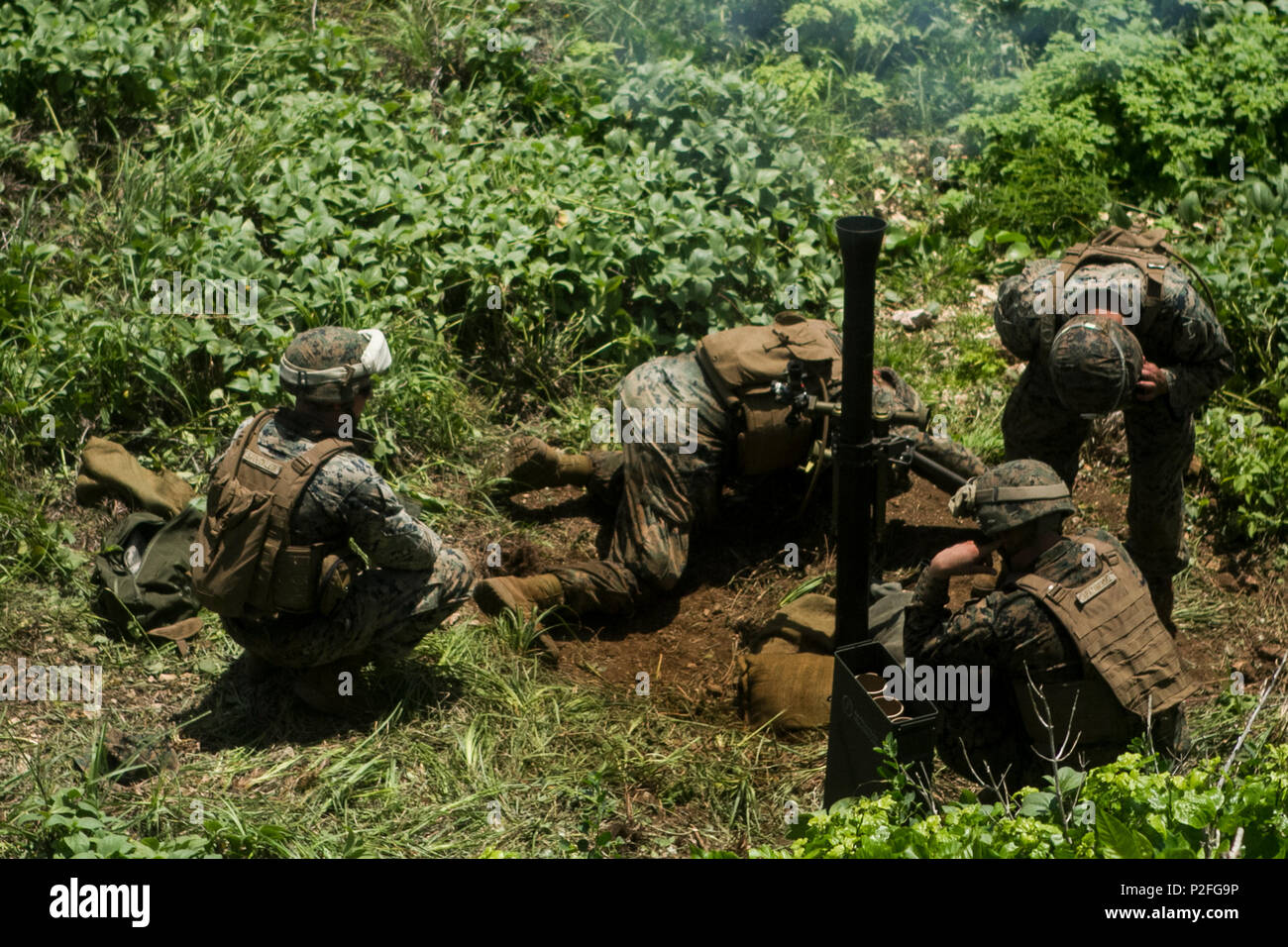 Mortarmen with Weapons Company, Battalion Landing Team, 2nd Battalion ...