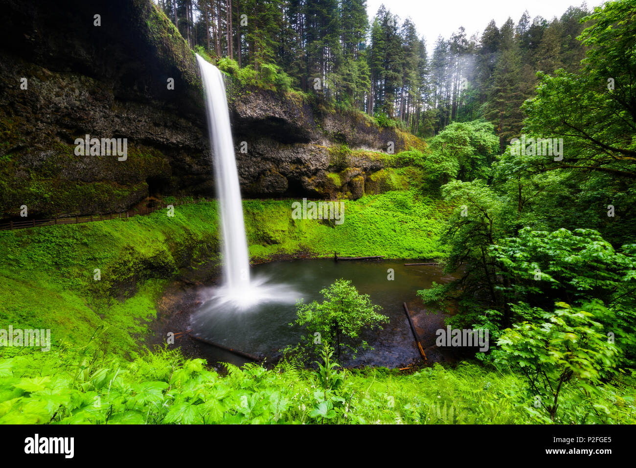 South Falls at the Silver Falls State park in northern Oregon. The lush ...