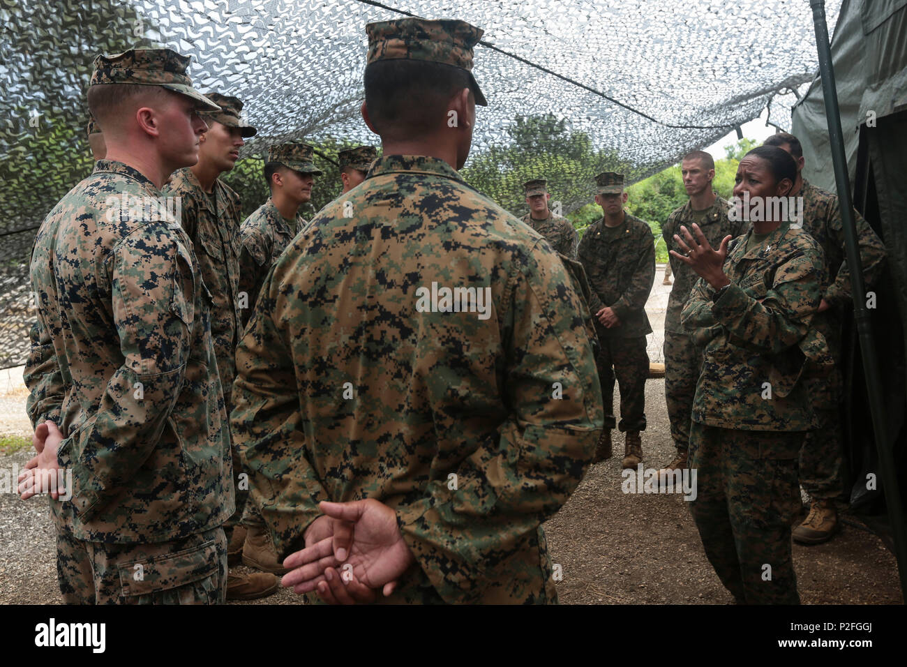 U.S. Marines with Marine Aircraft Control Group 18 listen to Colonel ...