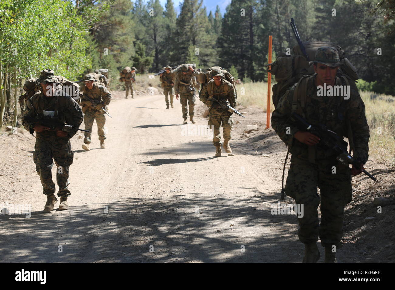 Regiment Columns High Resolution Stock Photography and Images - Alamy