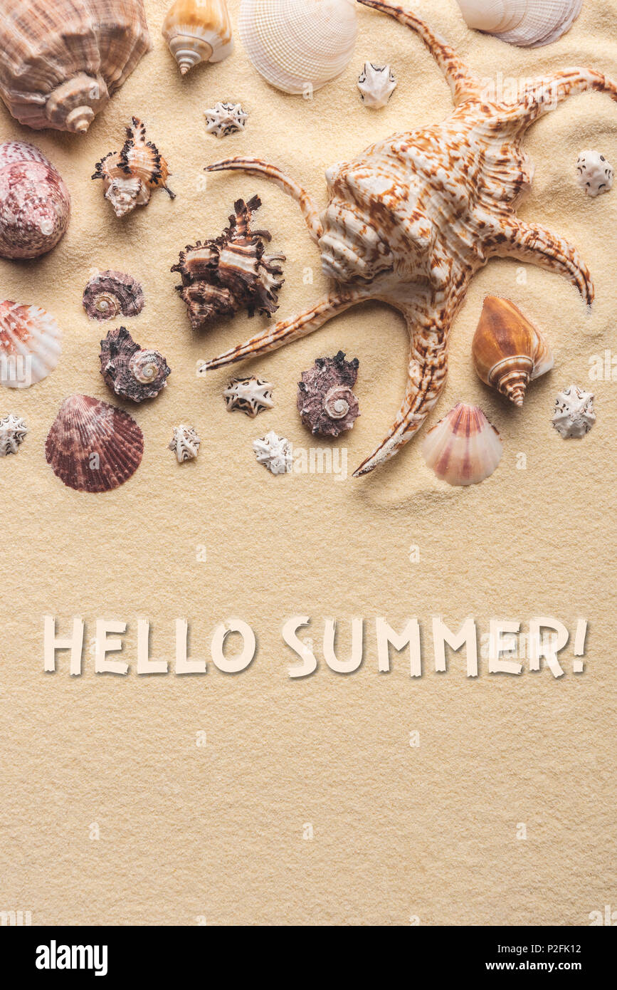 Seashells word holiday on sand hi-res stock photography and images - Alamy