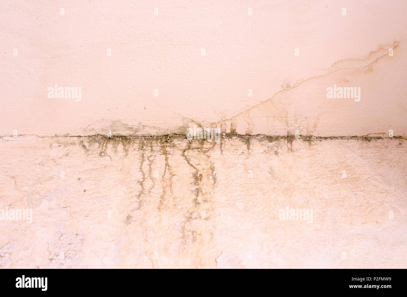 Mold mildew on roof house Stock Photo - Alamy