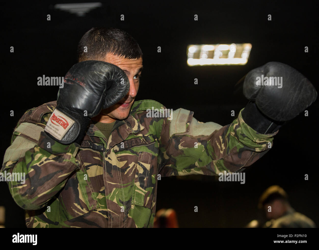 U.S. Marines and Romanian soldiers spar during a martial arts ...