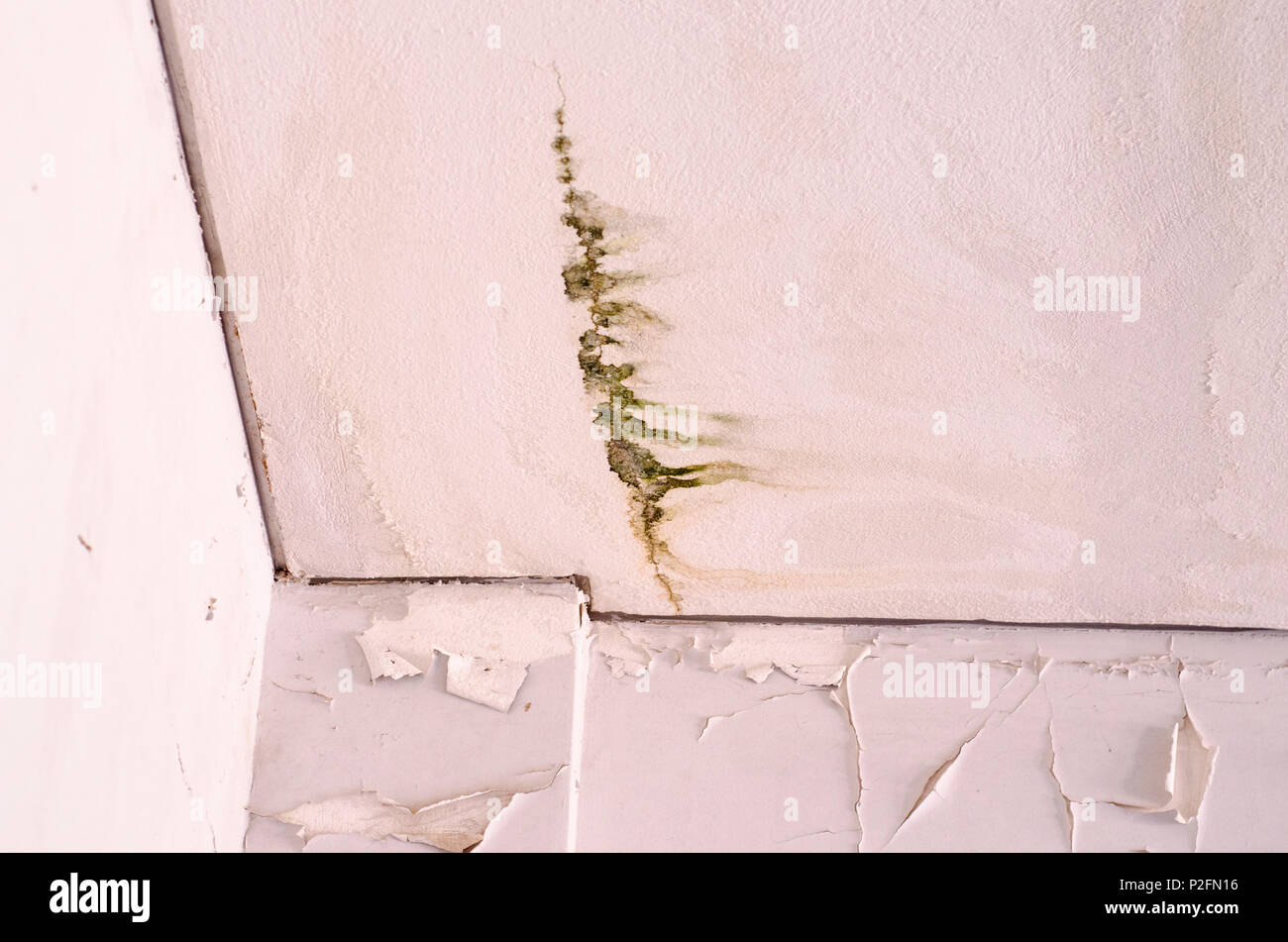 Mold mildew on roof house Stock Photo - Alamy