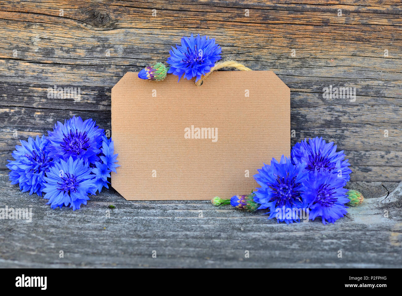 Cornflowers on blue table hi-res stock photography and images - Alamy