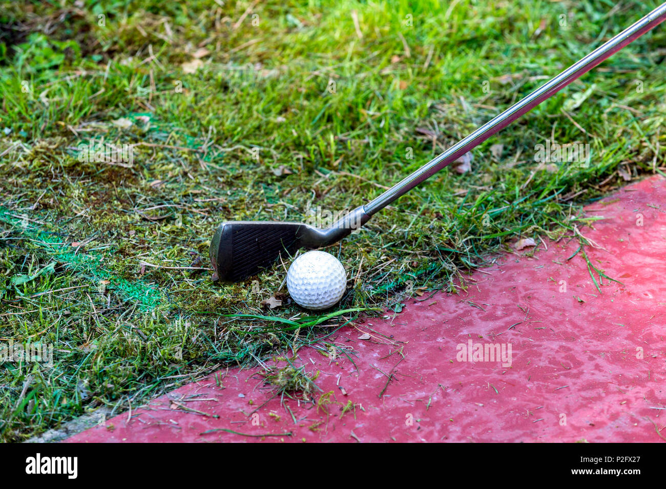 Golf: putter club with white golf ball on putting green Stock Photo - Alamy
