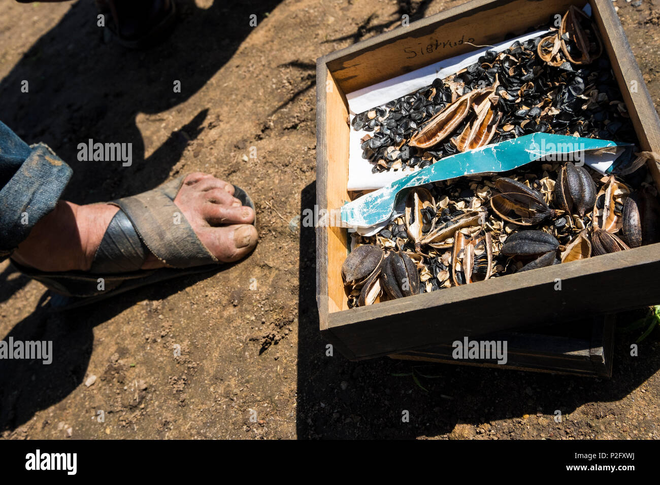 Oaxaca mexico farming hi-res stock photography and images - Alamy