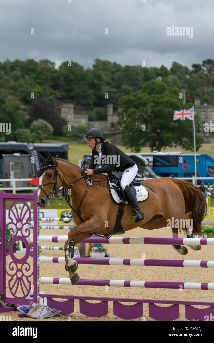 Elizabeth equerry horse hi-res stock photography and images - Alamy