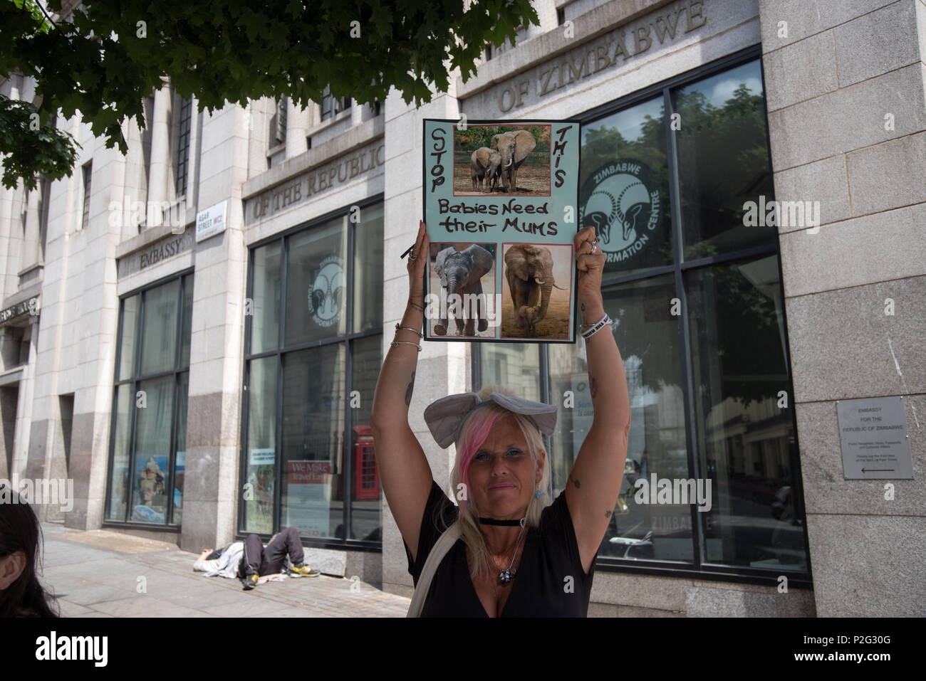 Against zoos hi-res stock photography and images - Alamy