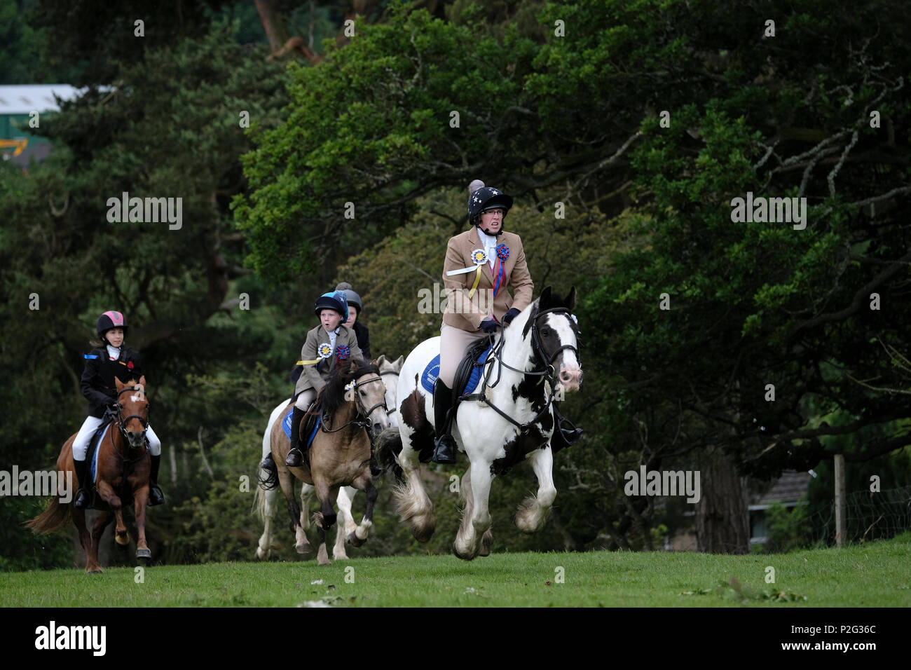 Selkirk, UK. 15th Jun, 2018. Selkirk Common Riding - Hail Smilin Morn ...