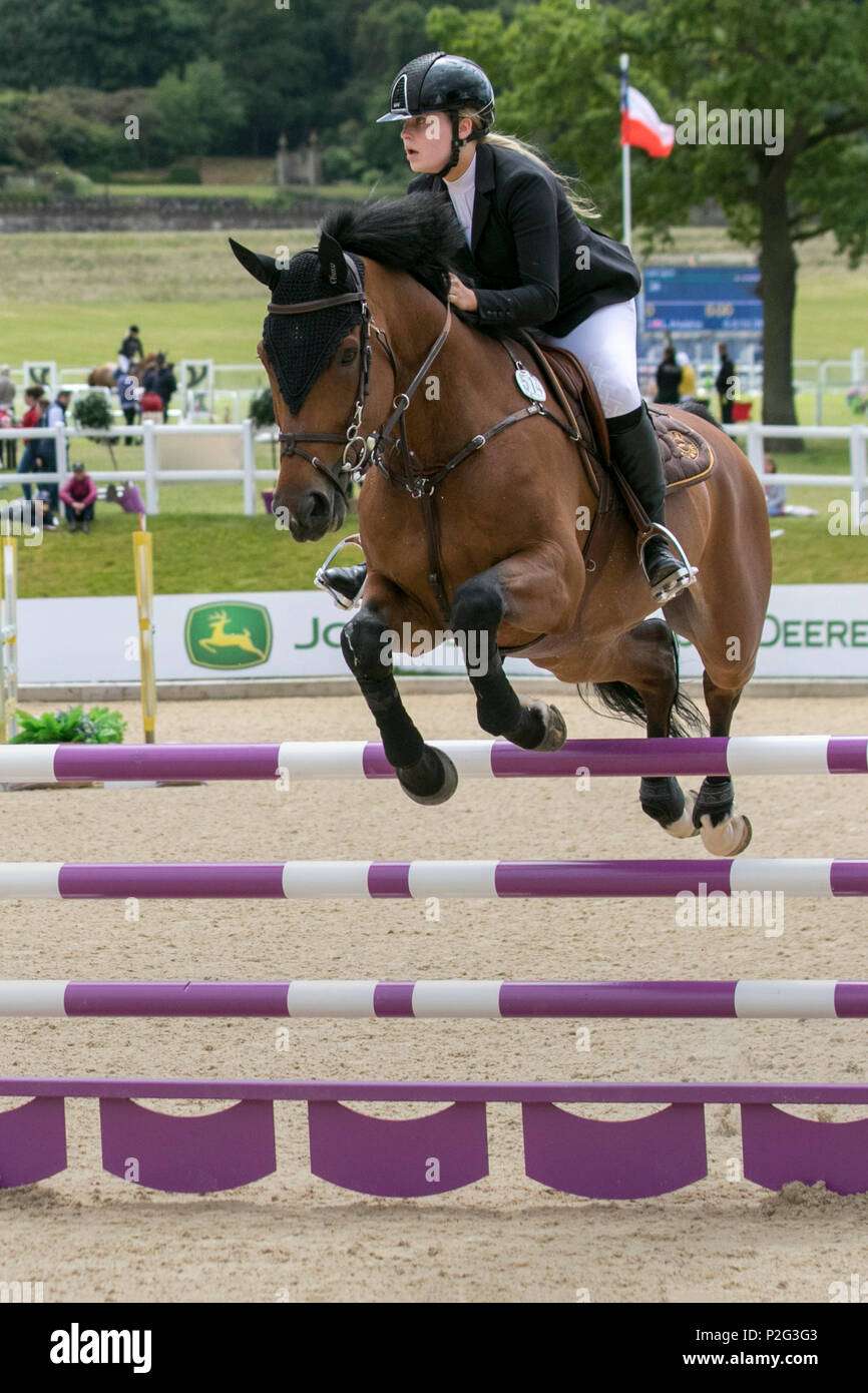 Bolesworth, Cheshire. 14th Jun, 2018. Amelia Milne riding Kung Fu Van'T ...