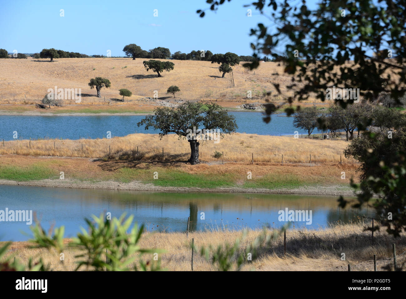 Alqueva reservoir portugal hi-res stock photography and images - Alamy
