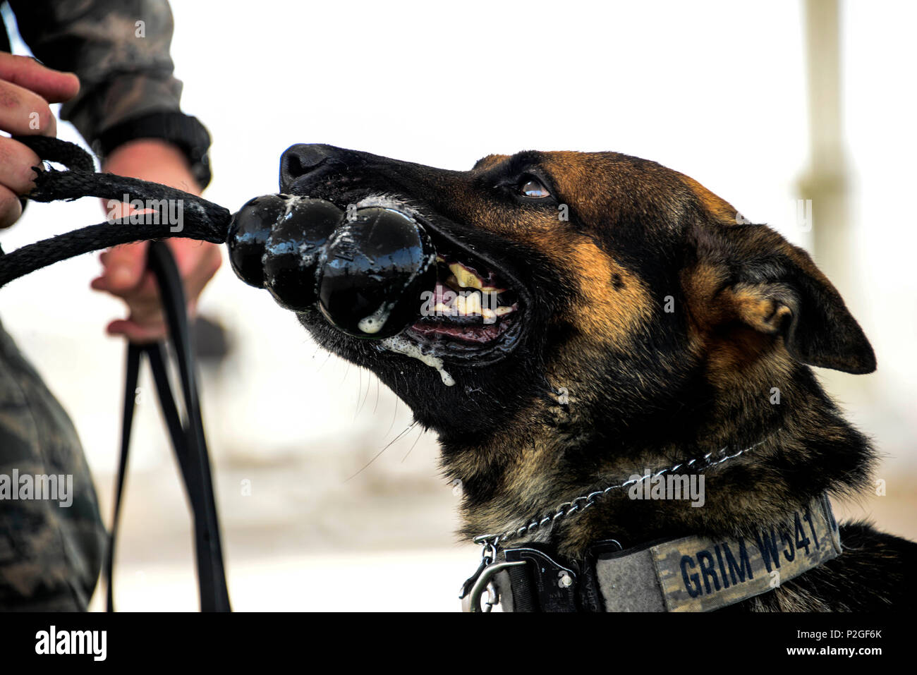 Taking bites hi-res stock photography and images - Alamy