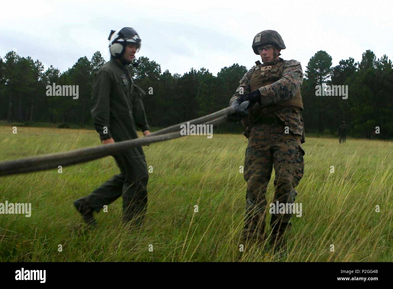 Lz condor hi-res stock photography and images - Alamy