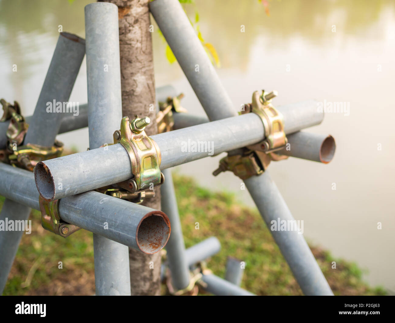 Tree Supporter Bracing and Protecting The Trees with The Steel Pipes ...