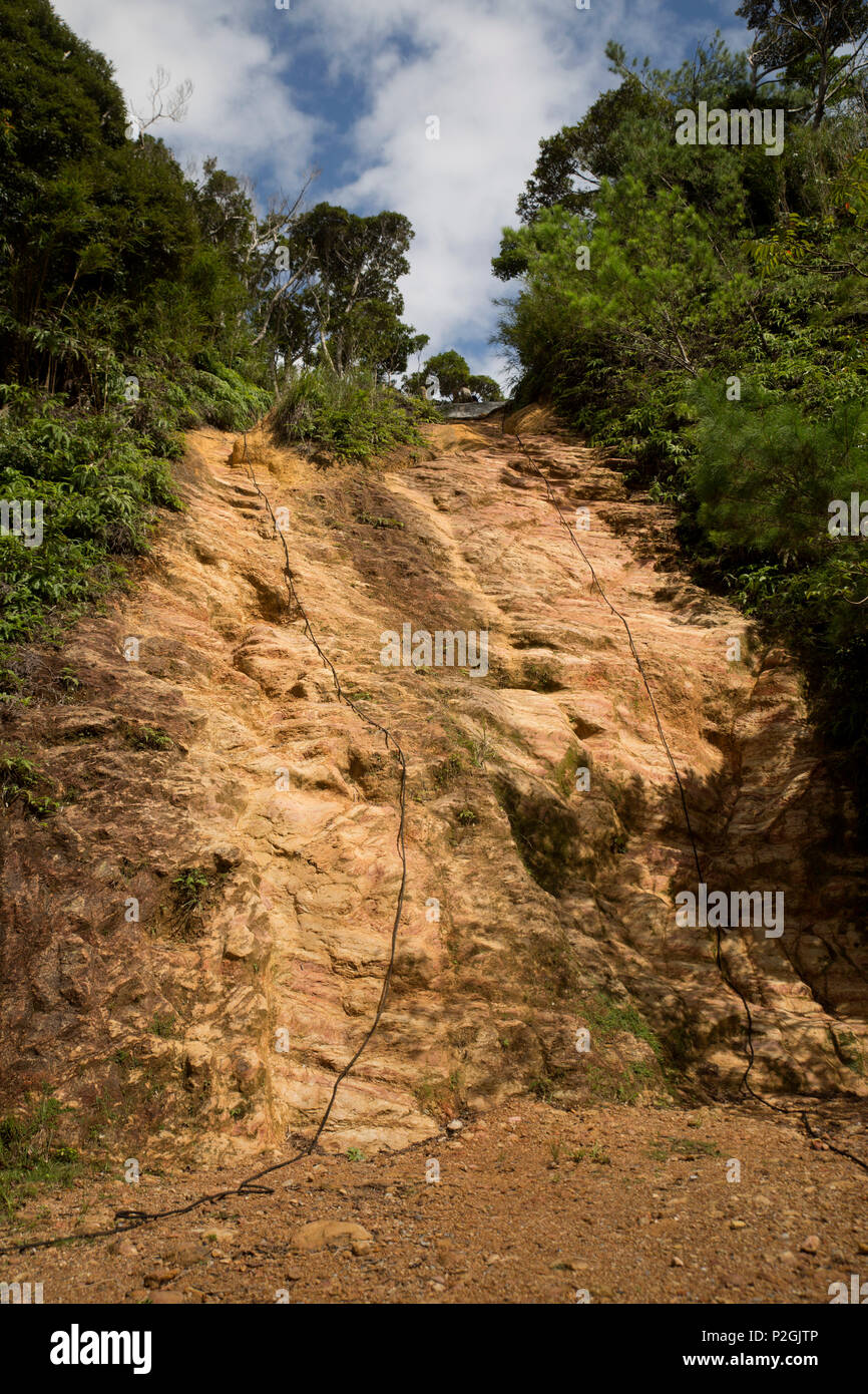 Rappel ropes descend a steep hill used for hasty rappelling Sept. 20 ...