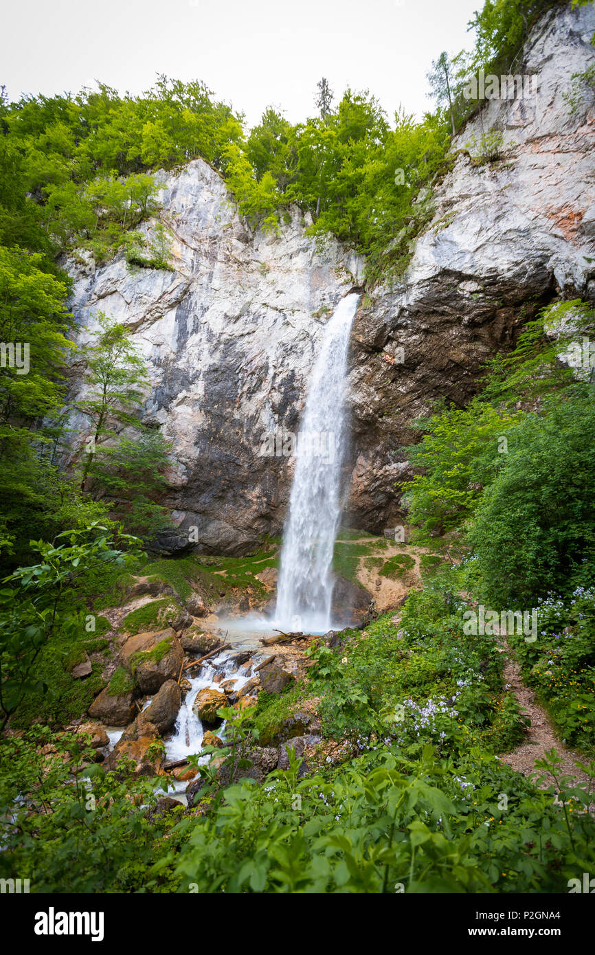 giant big waterfall called Wildensteiner waterfall in austria Stock ...