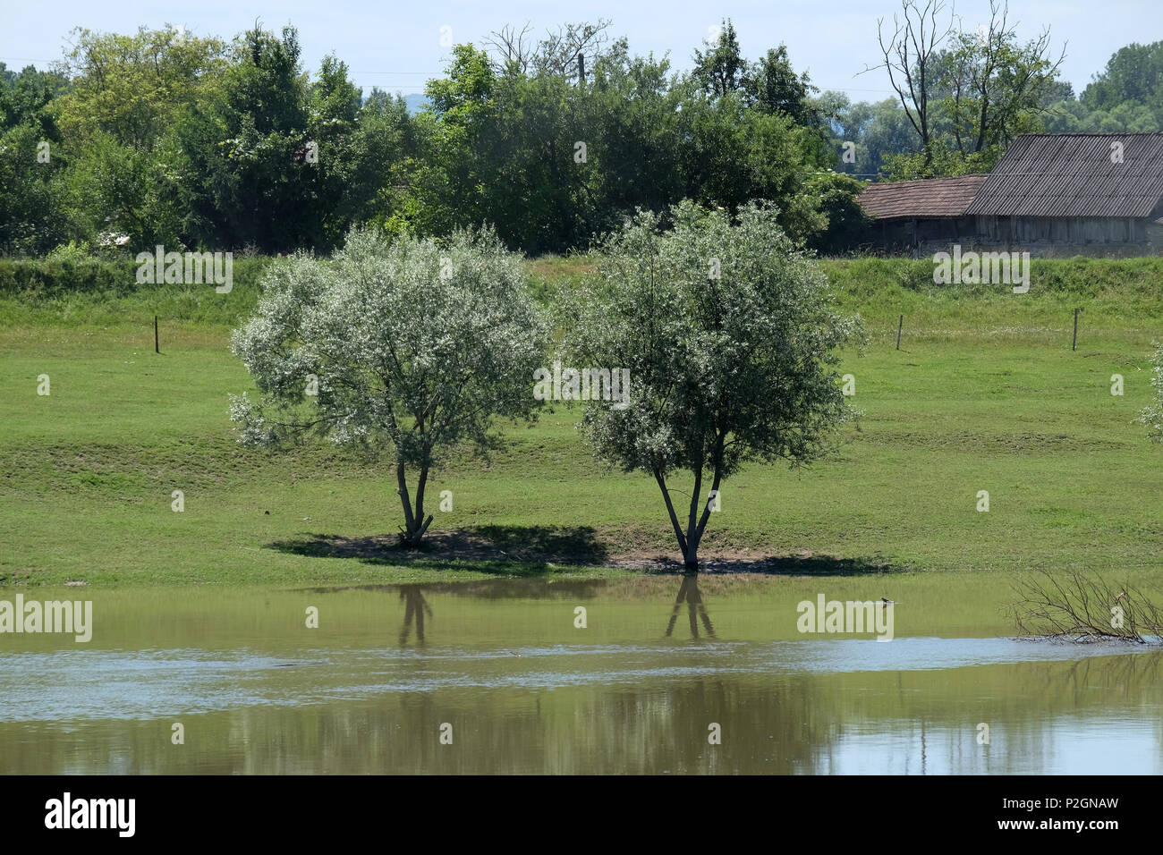 The Sava River is one of the very few unchanged lowland rivers in ...